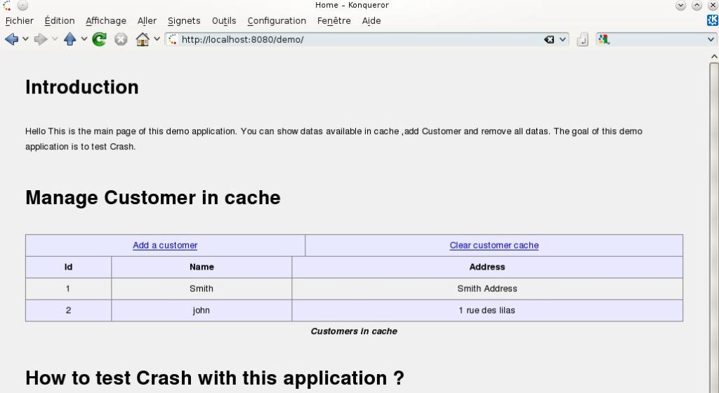 Introduction to CRaSH: The Cache Visualization Use Case | eXo Platform