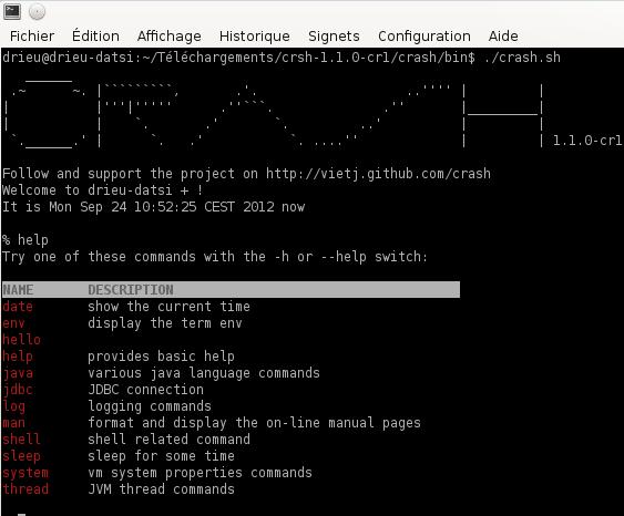Introduction to CRaSH: The Cache Visualization Use Case | eXo Platform