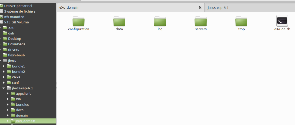 eXo in JBoss domain mode